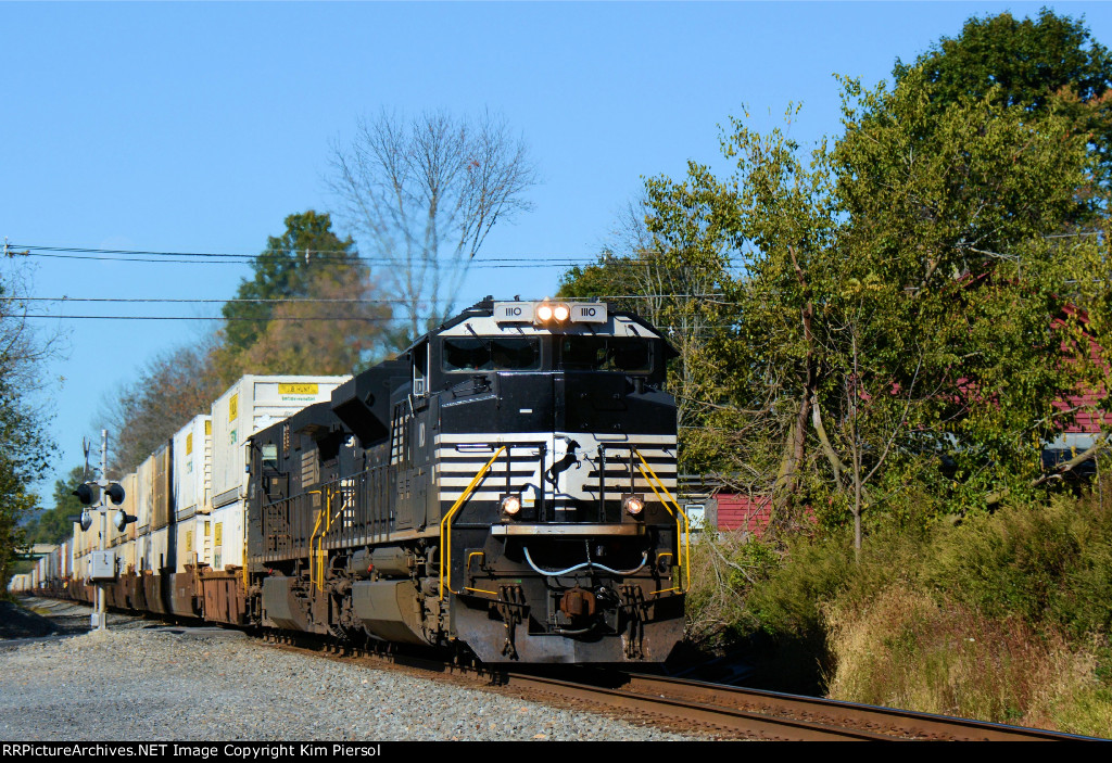 NS 1110 20W